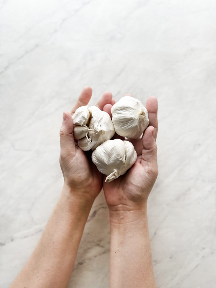 How to Make A Garlic Salve for Coughs & Colds | Kara Layne
